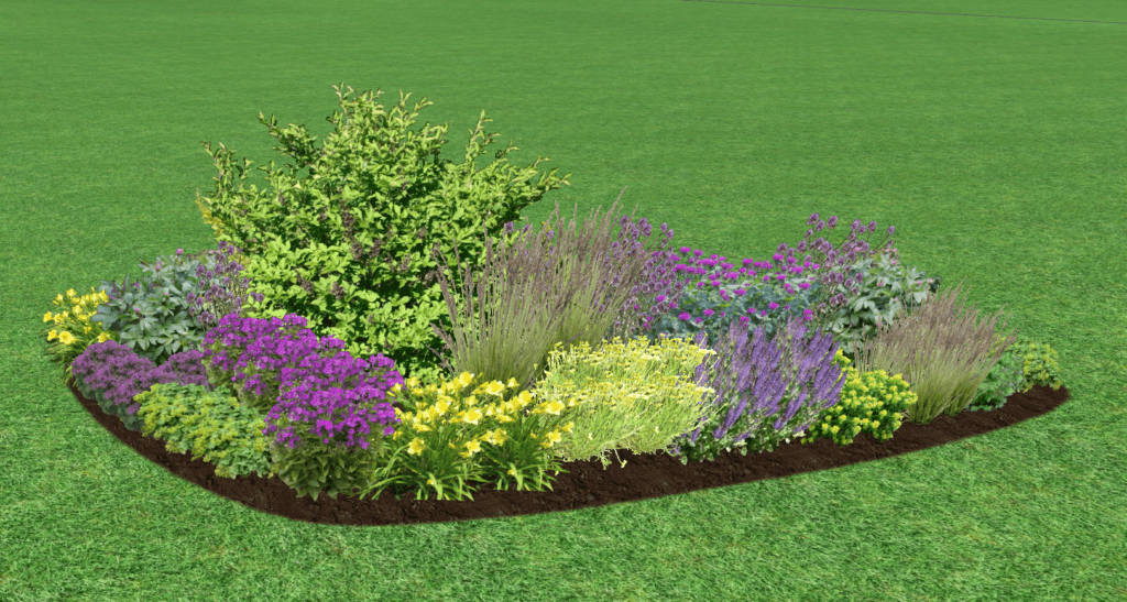 Kuuvalguse peenar - Aiaunistused